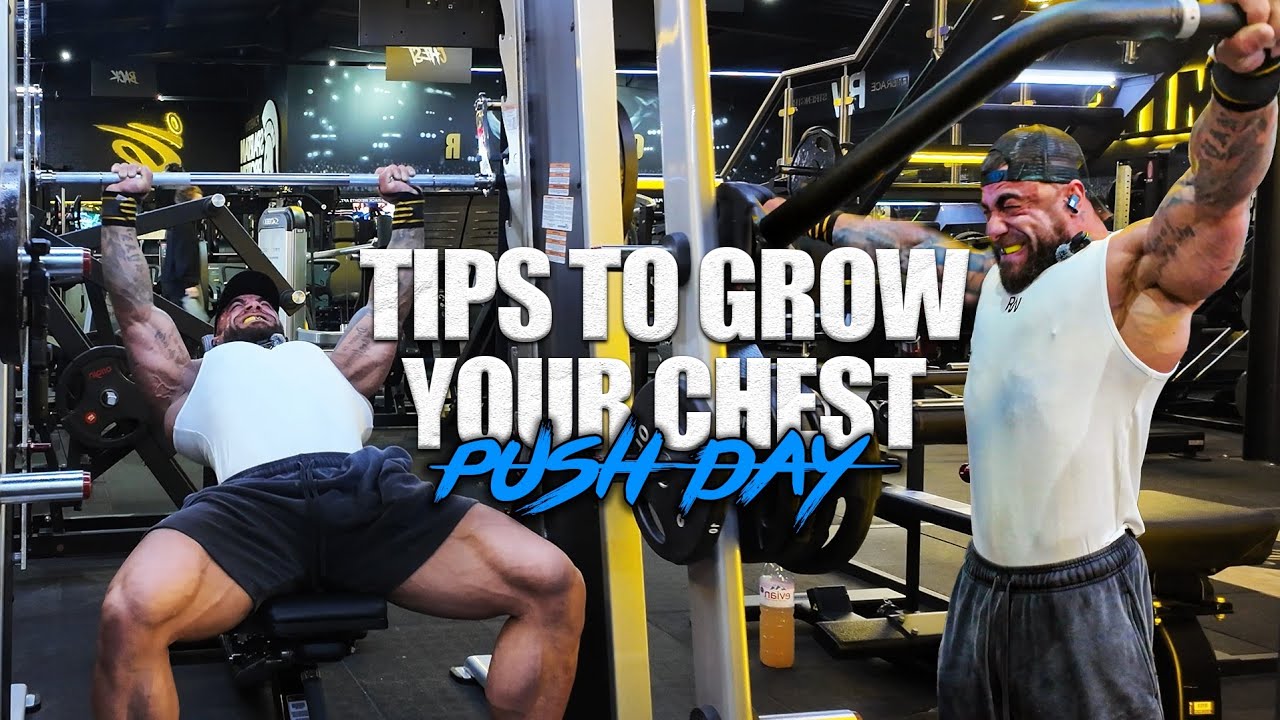 HOW TO BUILD A HUGE CHEST, DELTS AND ARMS - YouTube