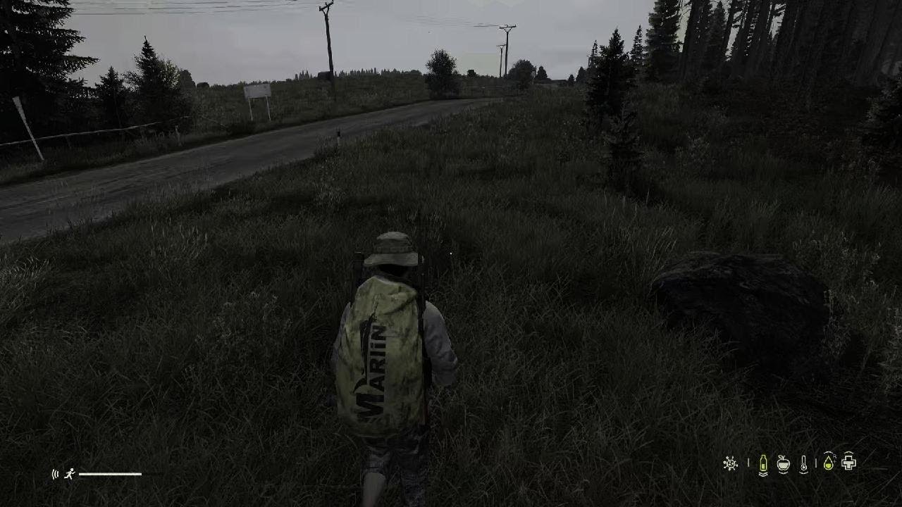 Wolf // DayZ - YouTube