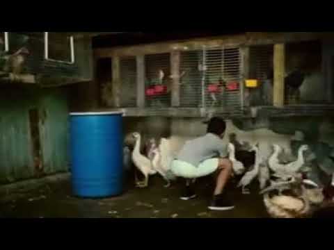 Luis fonsi despacito dady yanke