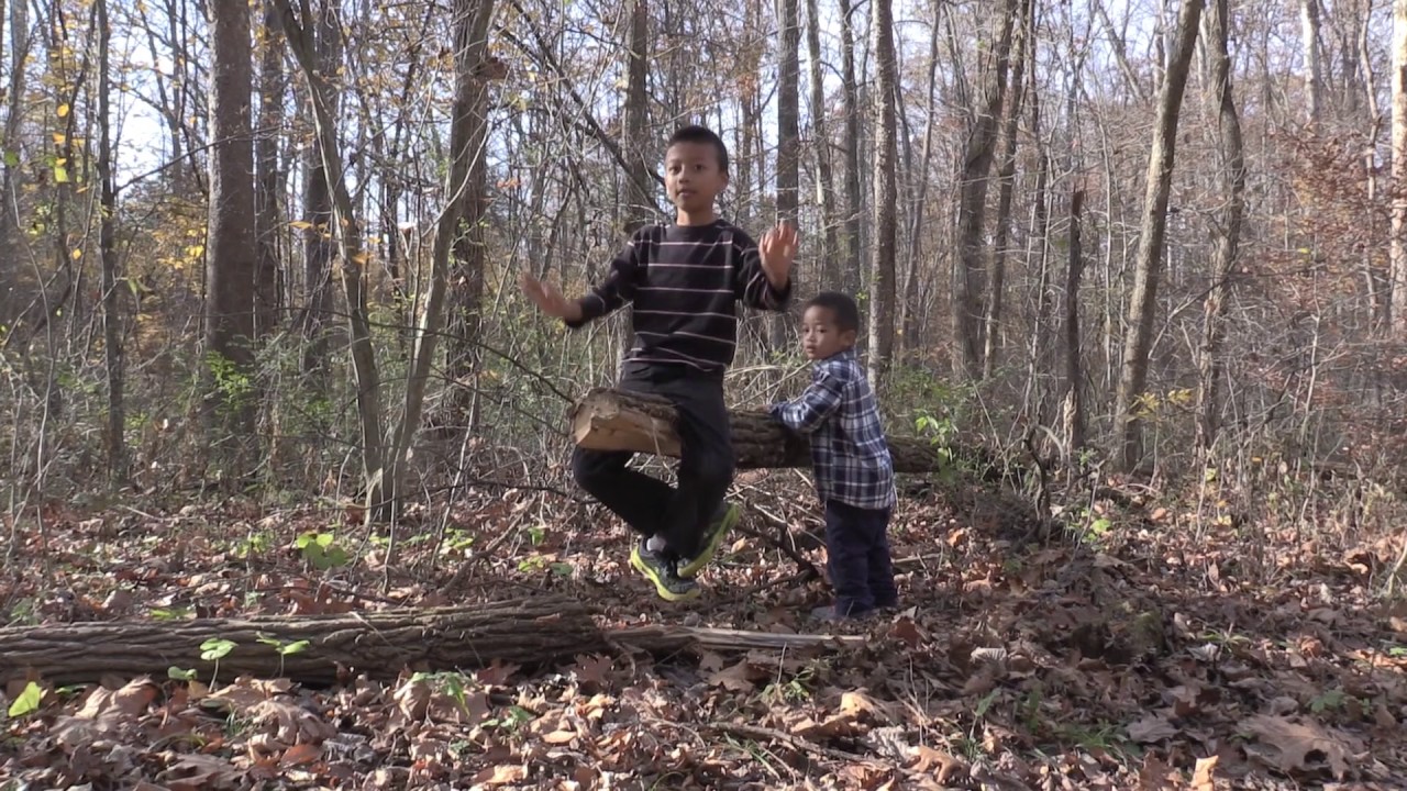 How to Get Free Horse (Tree) Ride - YouTube