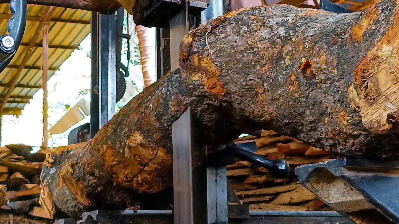 Kayu laknat dari gua setan digergaji bahan papan I Sawmill - YouTube