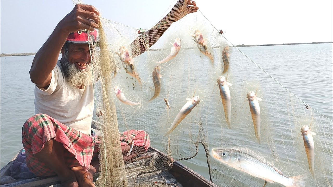 Really Amazing Traditional Fishing Video।। River Beautiful Fish Hunting ...