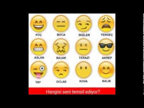 burcuna göre hangi emojisin (açıklamayı okuyun)