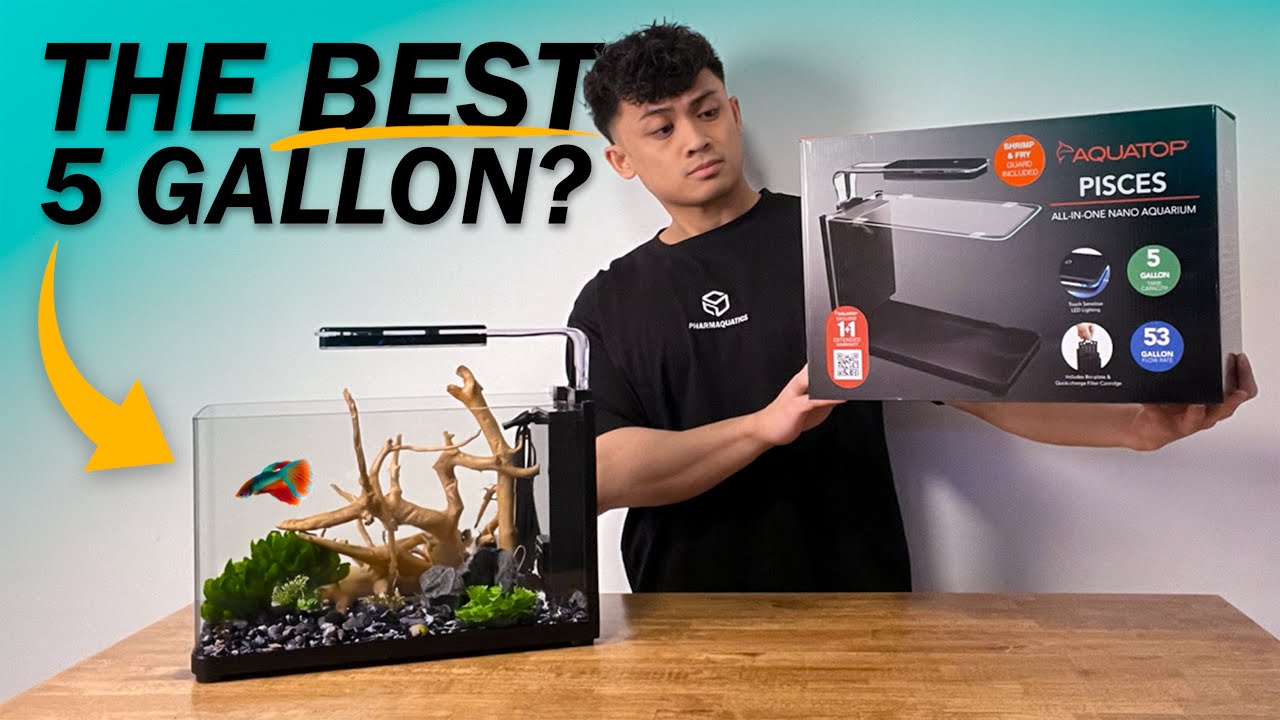 Aquatop Pisces 5 Gallon Unboxing & Setup! - YouTube