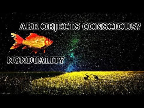 Are Objects Conscious? | Nonduality - YouTube