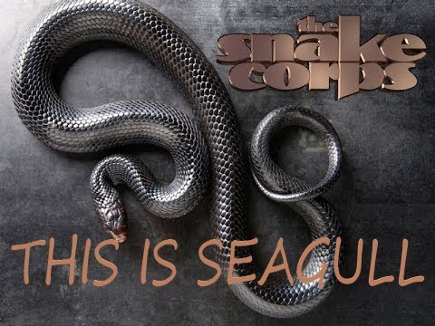 The Snake Corps - This Is Seagull + Base A 30 (Iscadj remix) - YouTube
