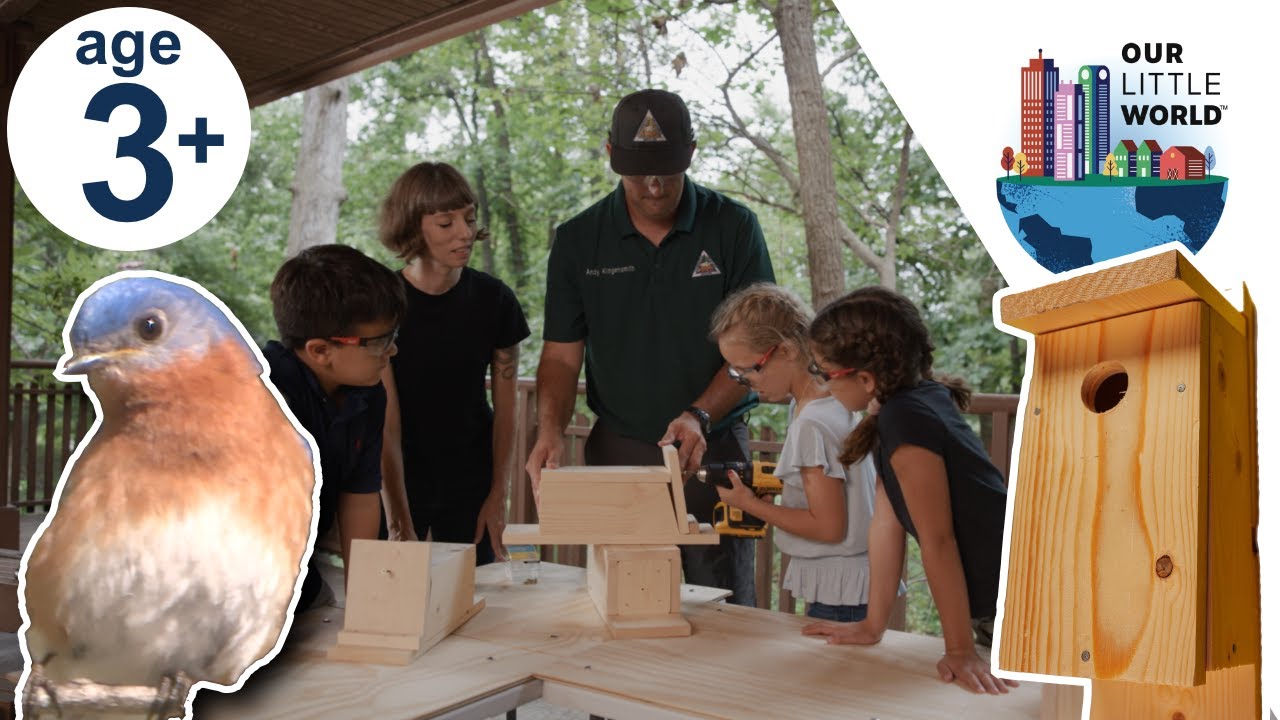 How (and Why!) to Build a Birdhouse | Eastern Bluebird Explorations for ...