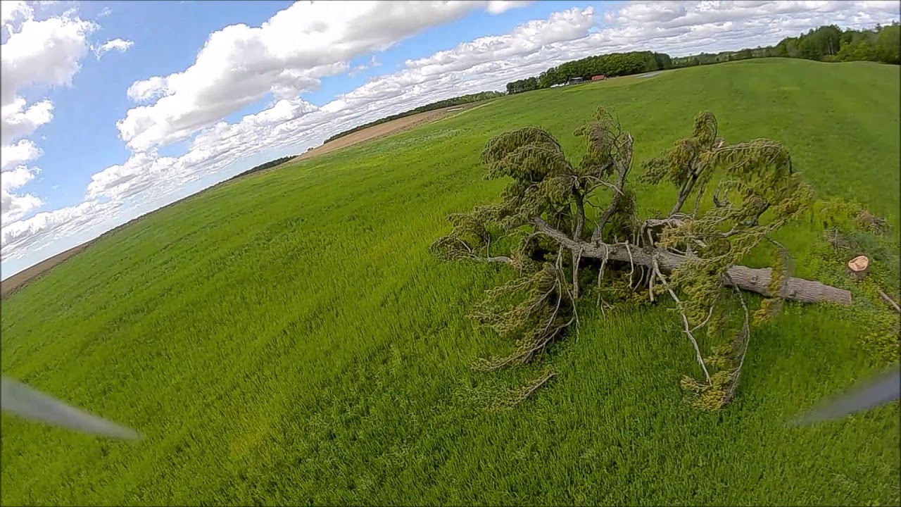 Windy morning flight - YouTube