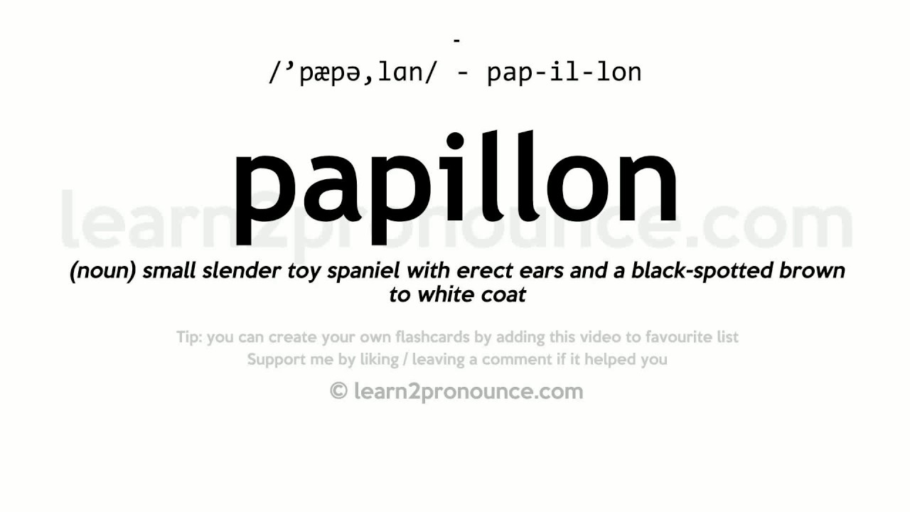 Pronunciation of Papillon | Definition of Papillon - YouTube