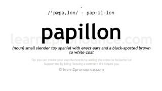 What Does Papillon Mean