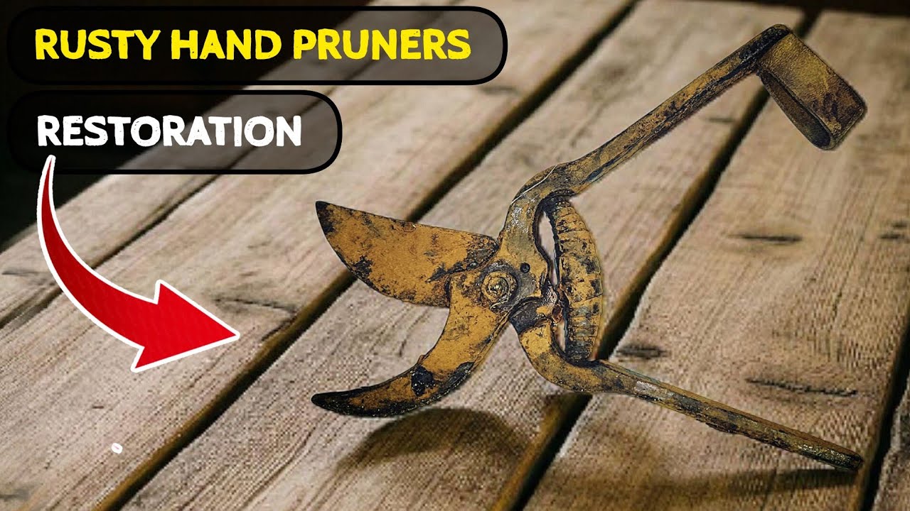 Restoration of Old Rusty Pruners: Bringing Tools Back to Life! - YouTube