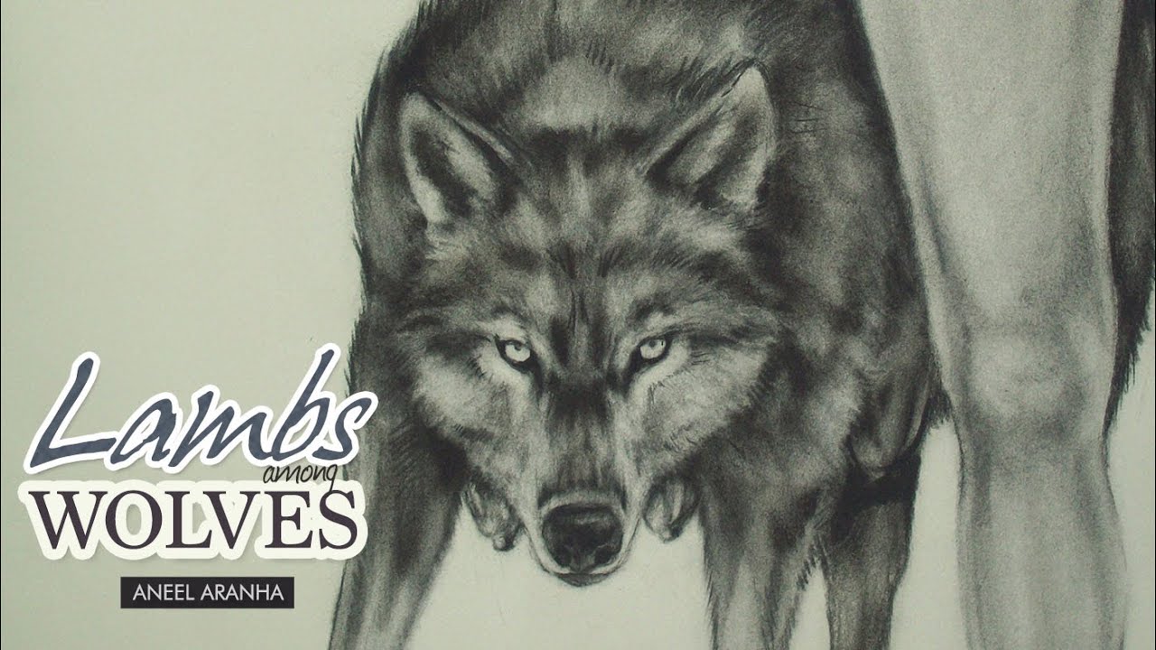 Lambs Among Wolves | Aneel Aranha - YouTube