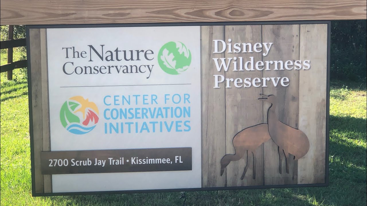 Do you know about this Disney secret? VLOG Disney Wilderness Preserve ...