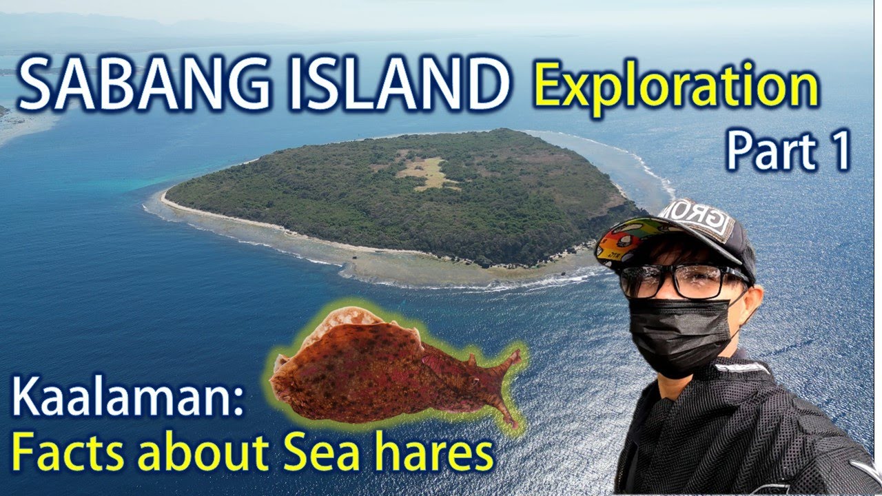 SABANG Island, Cabugao, Ilocos Sur Exploration Part 1 - YouTube