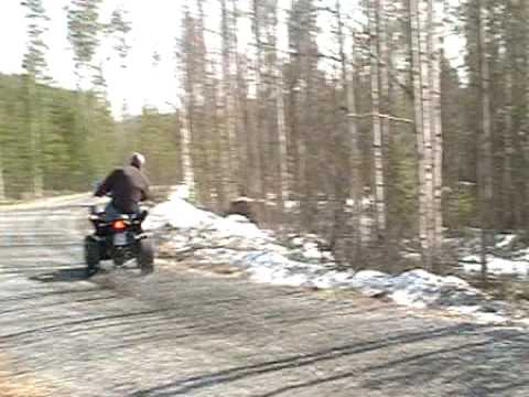 Dinli 450 nitro-08 sladdar lite