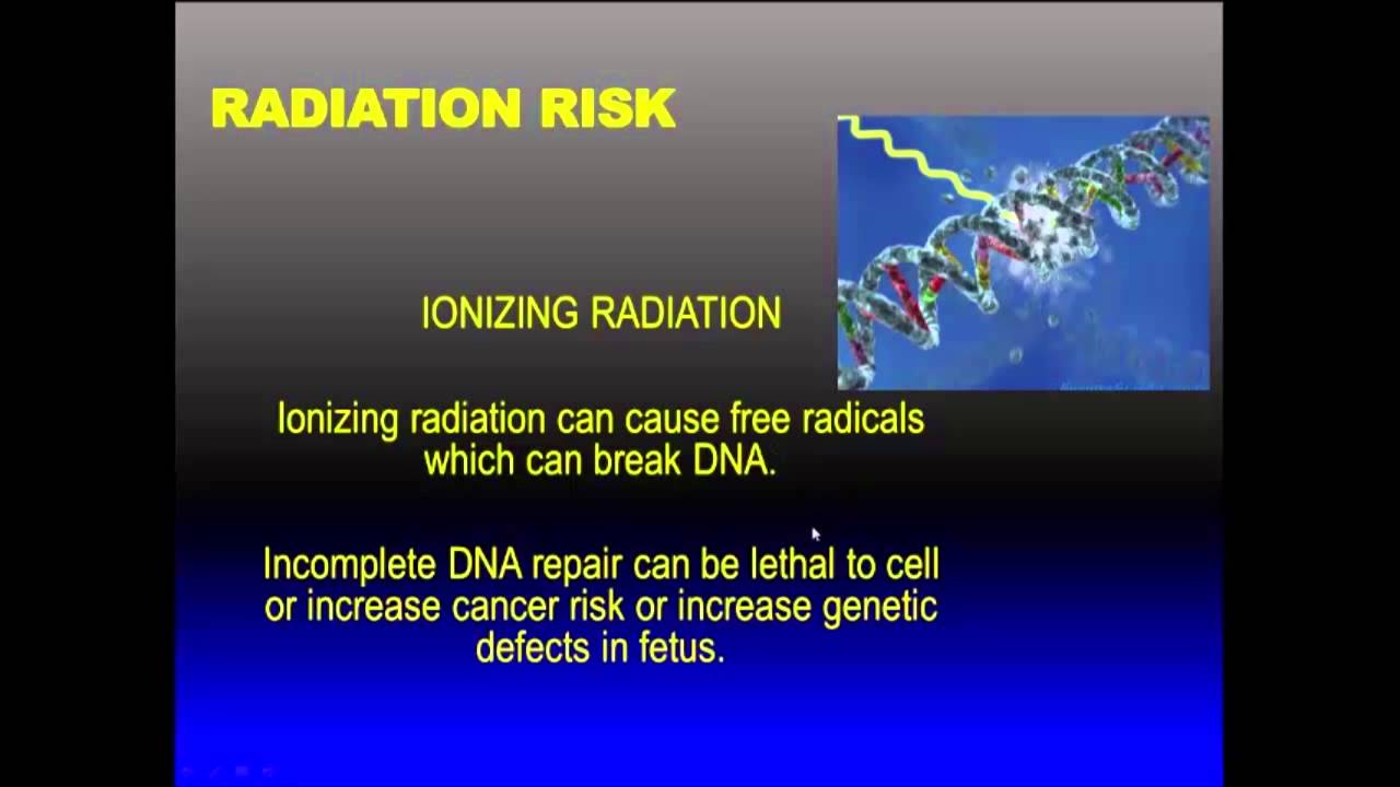Anatomy - Introduction to Radiology - YouTube