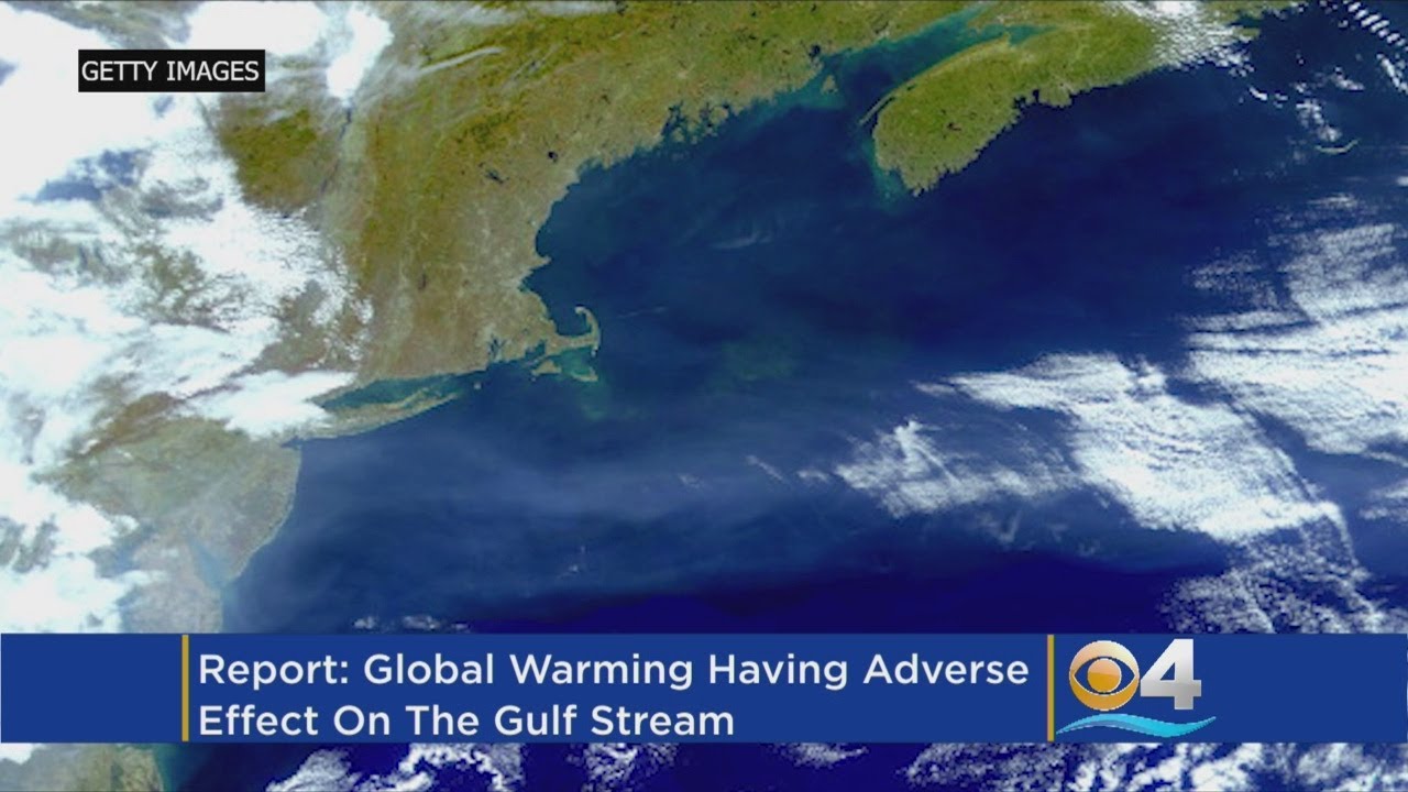 Gulf Stream System At Its Weakest In 1,600 Years, Study Shows - YouTube