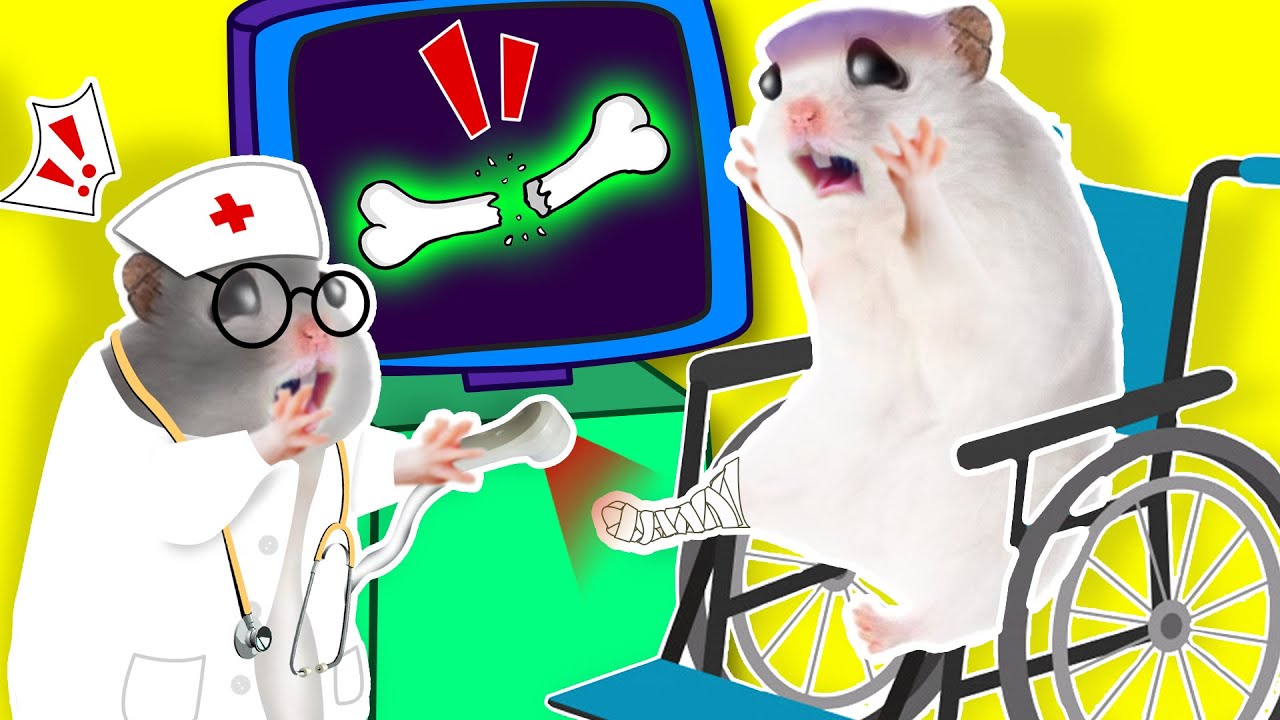 Oh No, Hamster! Hamster Dad Got a Boo Boo - Funny Cartoon by Amazing ...