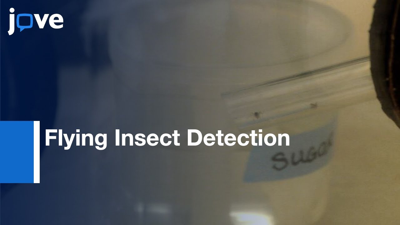 Flying Insect Detection & Classification With Inexpensive Sensors l ...
