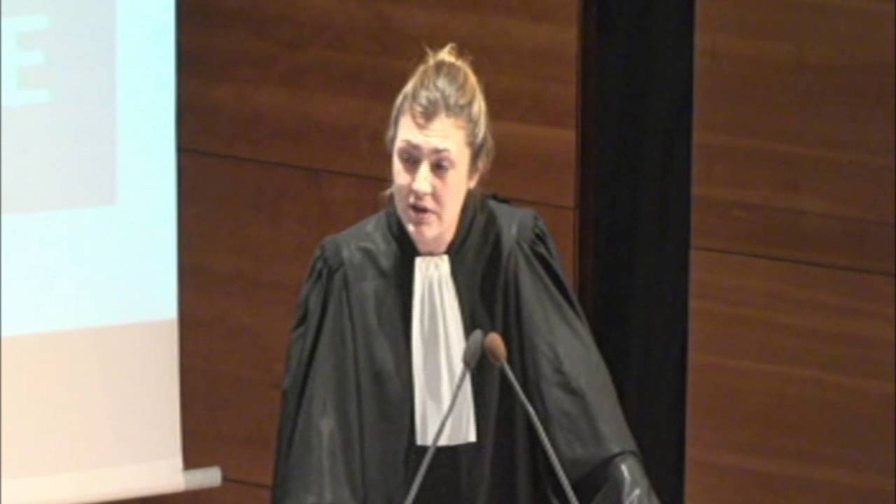 1. Me Beryl BROWN : Vulnérabilité intrinsèque et catastrophe naturelle ...