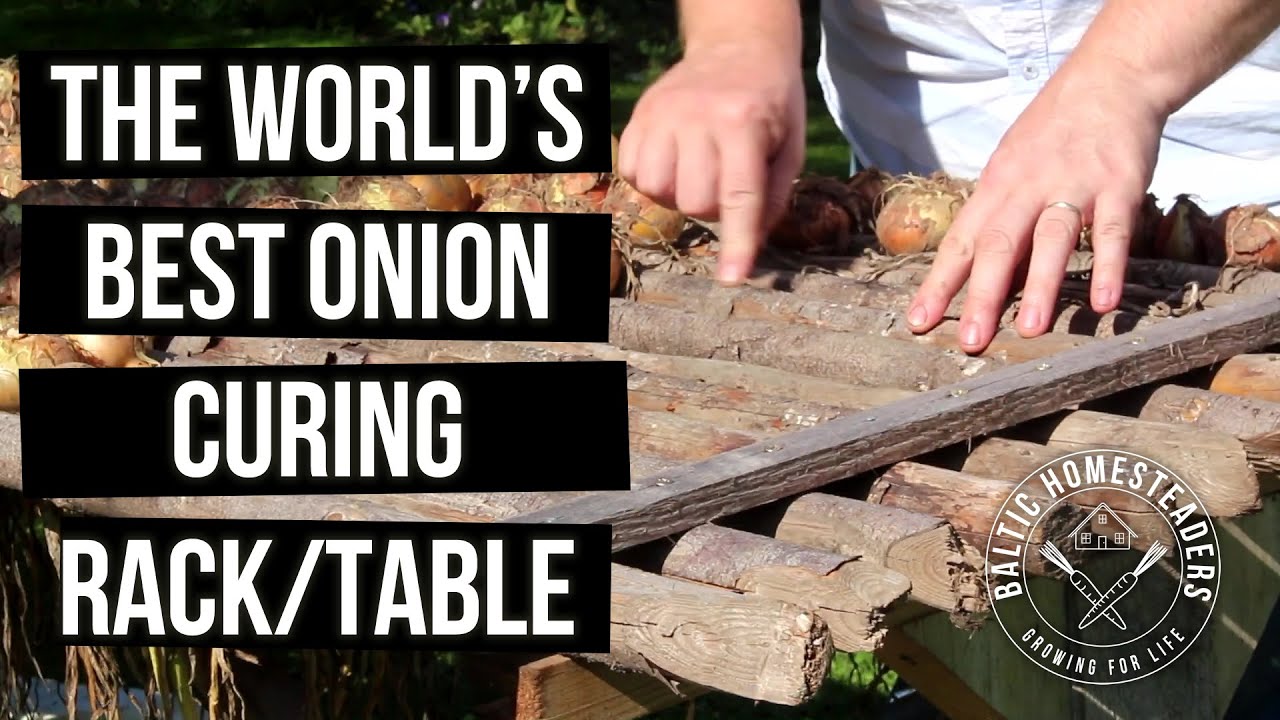 Ultimate Onion Curing / Drying Table | How to - YouTube