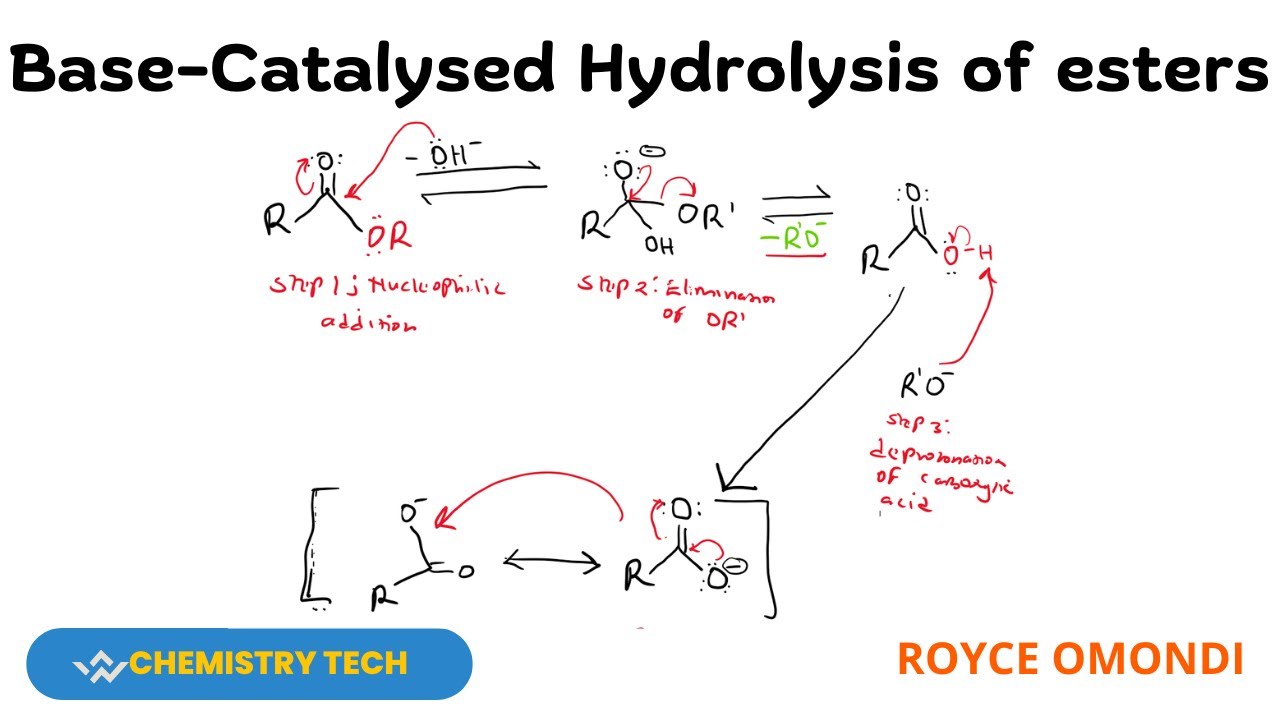 BASE-CATALYSED HYDROLYSIS OF ESTERS #hydrolysis #organicreaction # ...