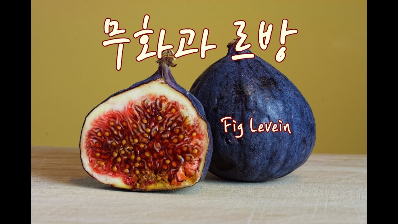무화과 천연발효종, 르방 / Natural fermented figs, Making a Levein.무화과 발효종 쥬스 달달하고 ...
