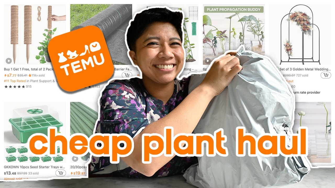Under $30 Cheap TEMU plant haul | budget plant finds - YouTube