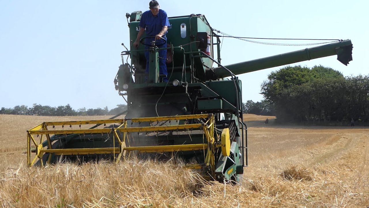 Volvo S1000A Self-Propelled Combine from 1965 in duty in the Barley ...