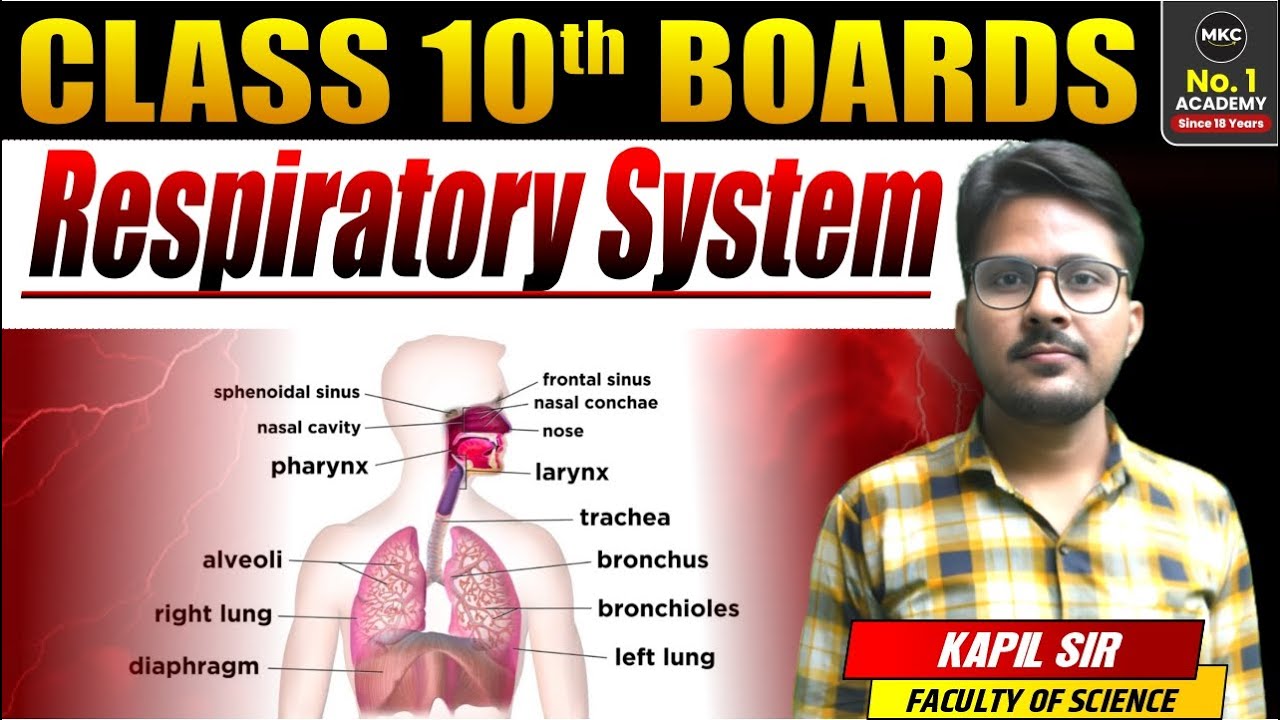 Class 10th Boards Respiratory System | Cbse Class 10 Science Human ...