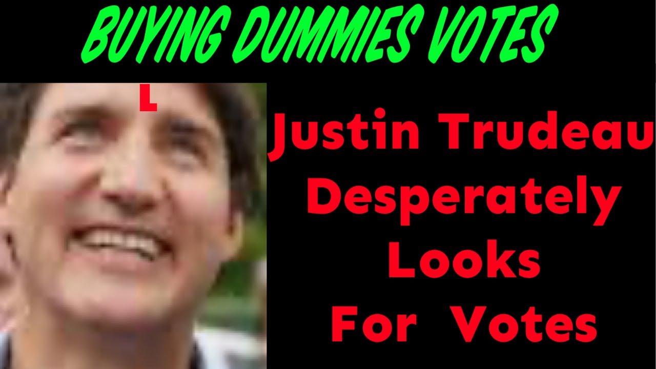Desperate Justin Trudeau Temporarily Cuts HST/GST On Select Items To ...