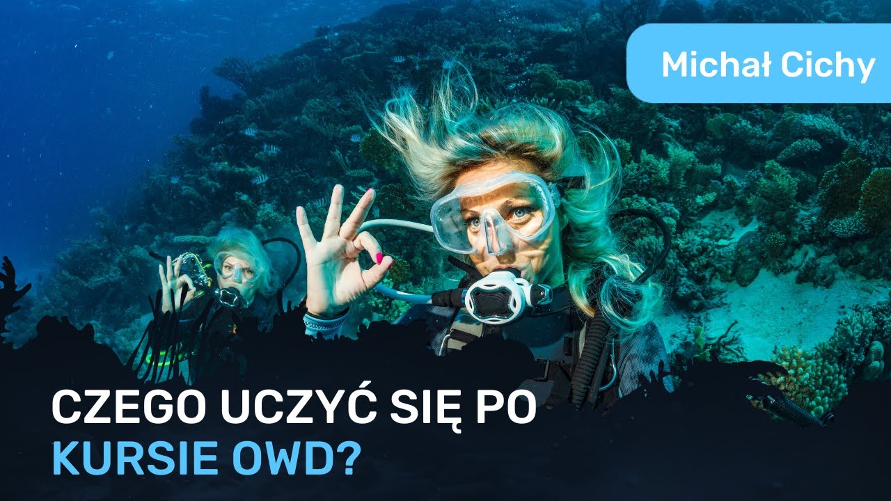 Czego warto nauczyć się po kursie OWD? - Michał Cichy - YouTube