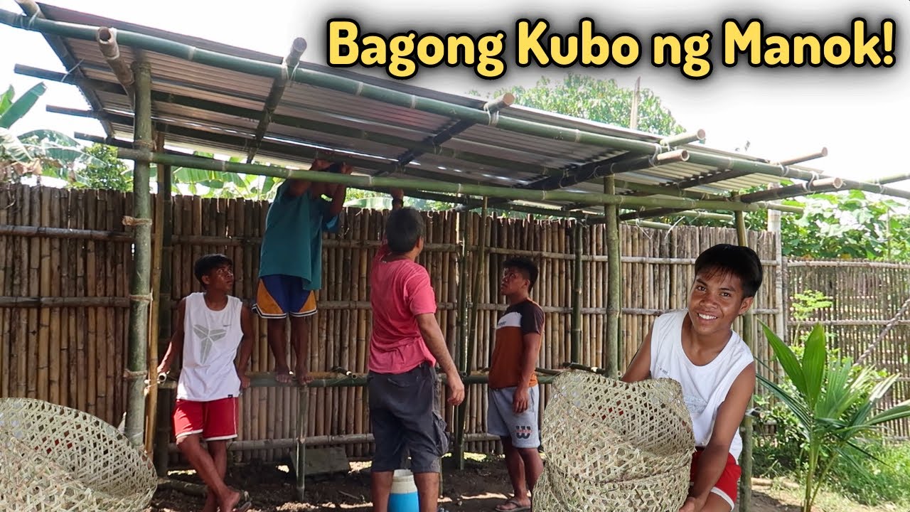 Bagong Kubo ng Manok at Baki para sa Paitlogan | BUHAY SA BUKID - YouTube