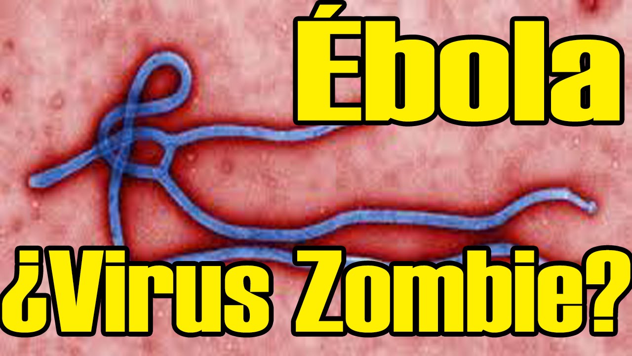 EL ÉBOLA ¿VIRUS ZOMBIE? [LOQUENDO] 2014 - YouTube