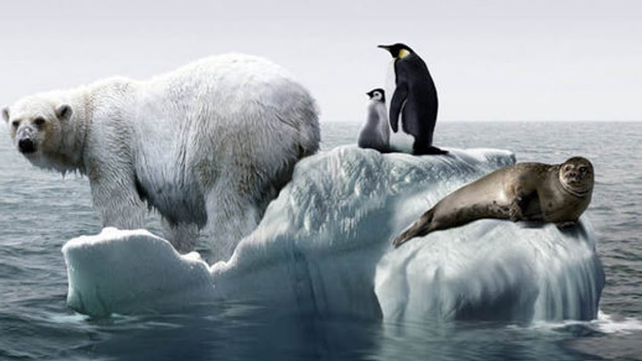 Akulli i Antarktides Shkrihet Me Shpejtesi Rekord, Shkakton Shqetesim ...