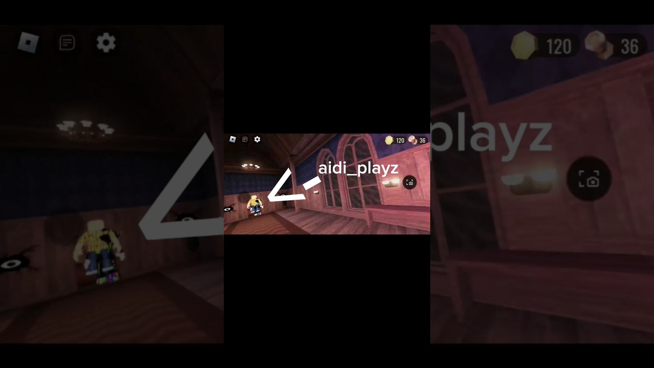 seek chase with @Aidi_playz - YouTube