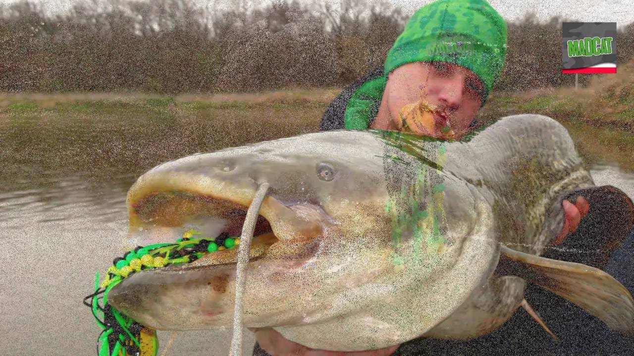 MAD CAT Clonk Teaser - YouTube