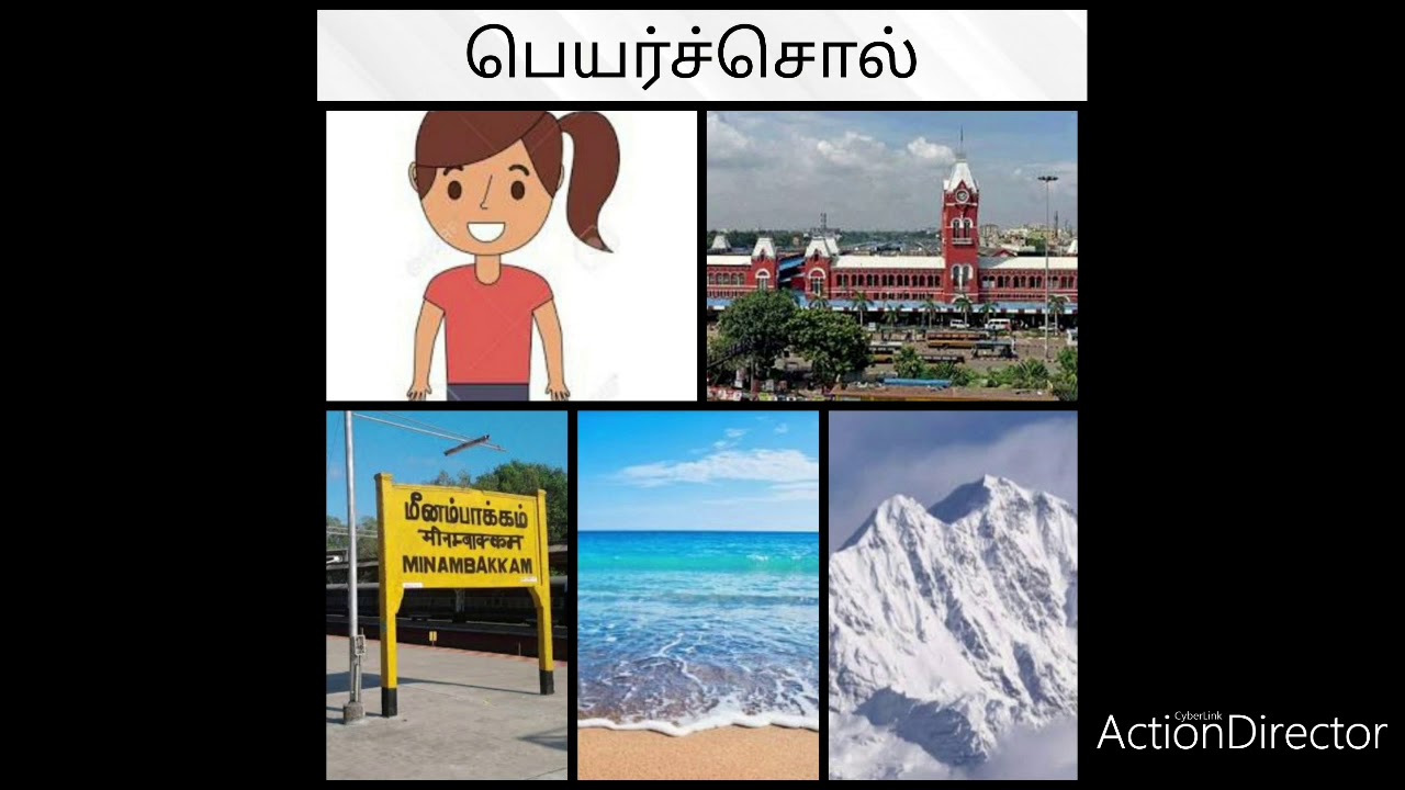 STD V Tamil Peyarchol, Vinaichol - YouTube