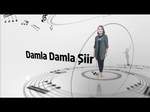 DAMLA DAMLA ŞİİR 21 12 2019