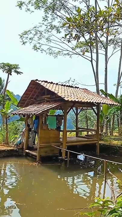 Saung di atas kolam sangat cocok untuk duduk santai sambil menikmati suasana alam - YouTube
