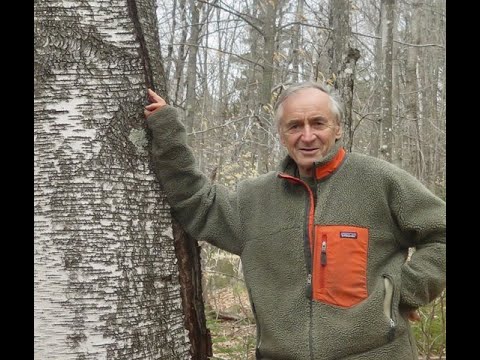 Episode 44: A life with birds and insects with Dr Bernd Heinrich - YouTube