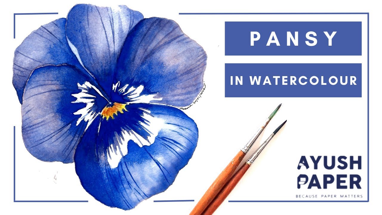Watercolour Pansy Flower tutorial for Beginners | Ayush Paper - YouTube