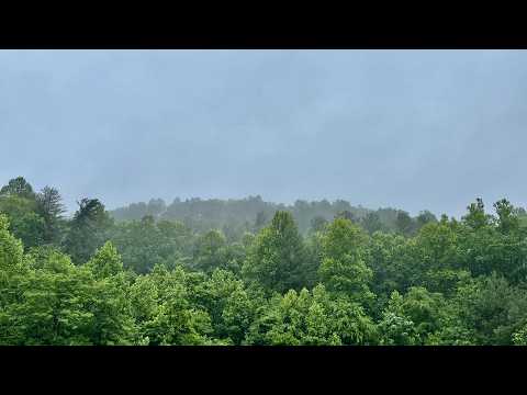Calm Spring Rain