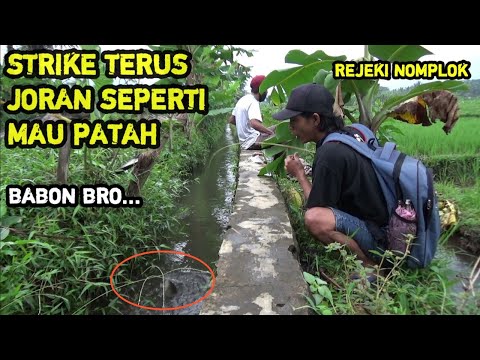 Rejeki Nomplok ! Mancing Pake Joran Bambu Hasilnya Diluar Dugaan