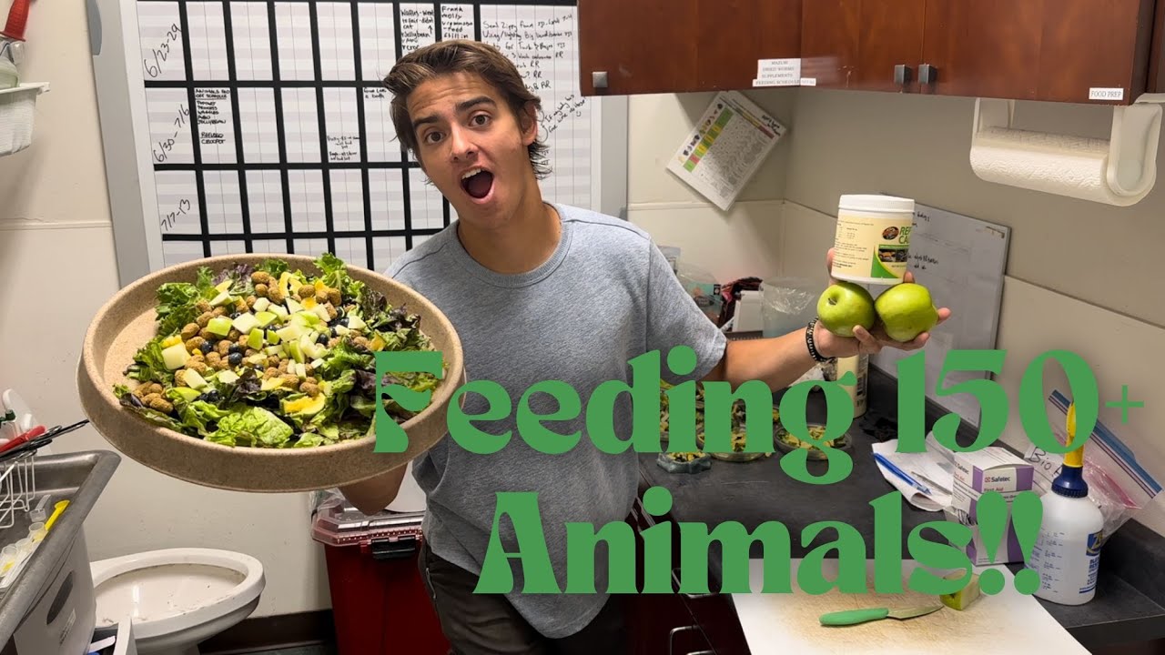 Feeding Over 150 Animals! - YouTube