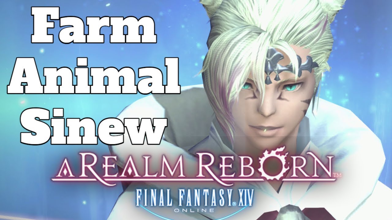Final Fantasy XIV Farming Animal Sinew Guide - YouTube