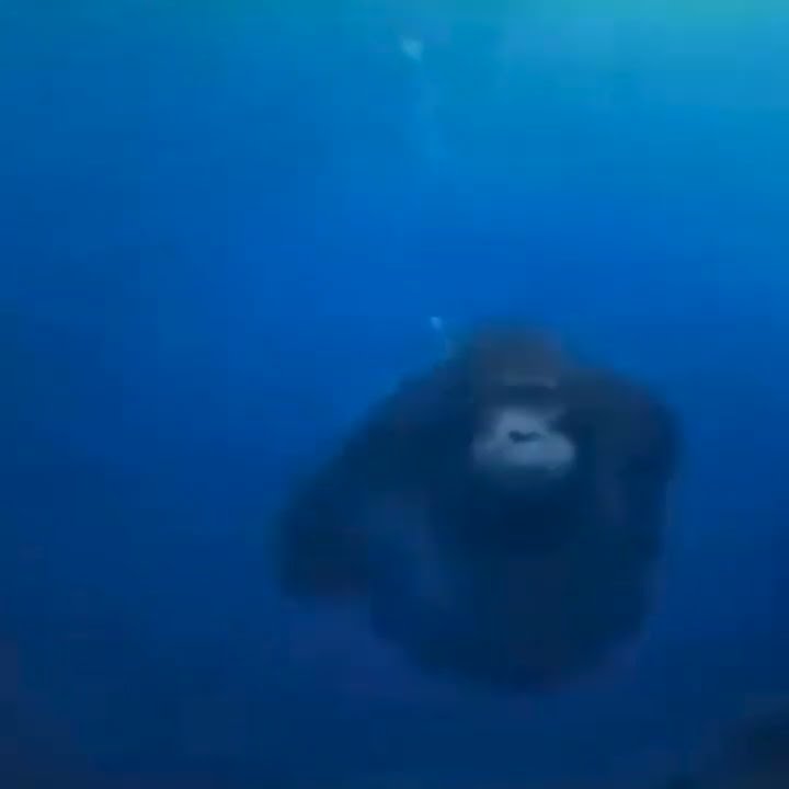 meek mill diving + life could be a dream - YouTube