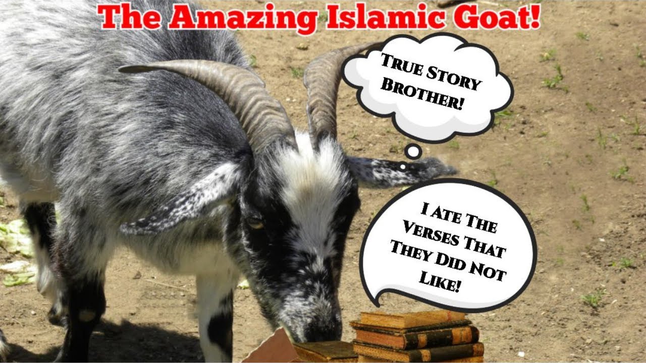 The Amazing Islamic Goat That Abrogated Koran Verses. - YouTube