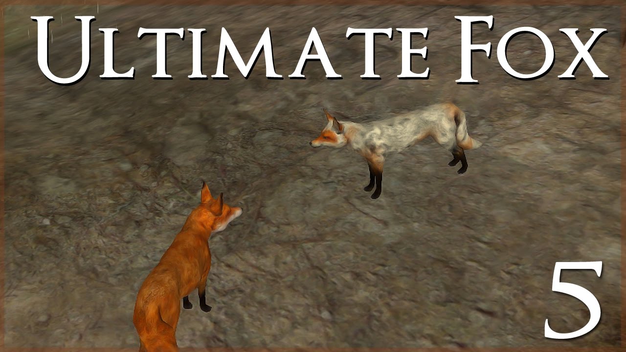 Kilala's Silvery New Coat!! • Ultimate Fox Simulator - Episode #5 - YouTube
