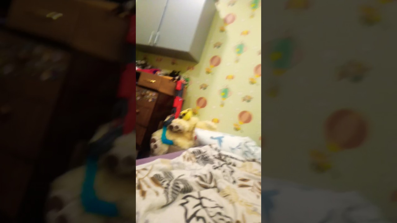 6 декабря 2023 г. - YouTube